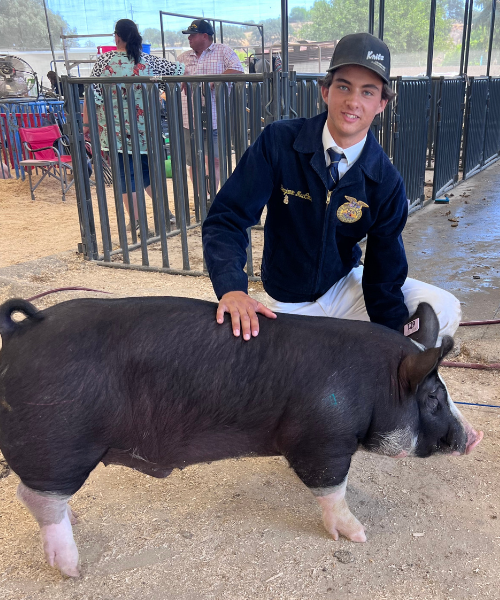 Delta Liquid Energy Supports 4H and FFA Youth at Mid-State Fair