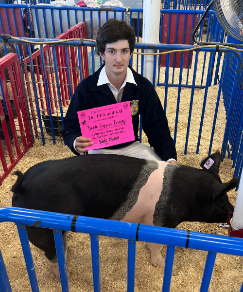 Delta Liquid Energy Supports 4H and FFA Youth at Mid-State Fair